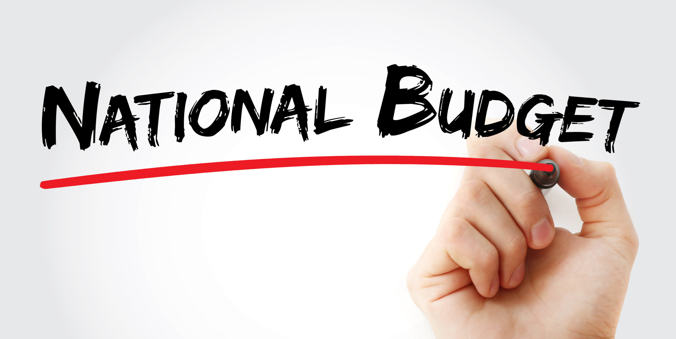 Budget Brief 2022-2023 - National Social Inclusion Foundation